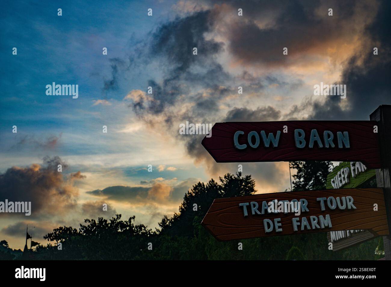 Directional signs for "Cow Barn" and "Tractor Tour De Farm" silhouetted ...