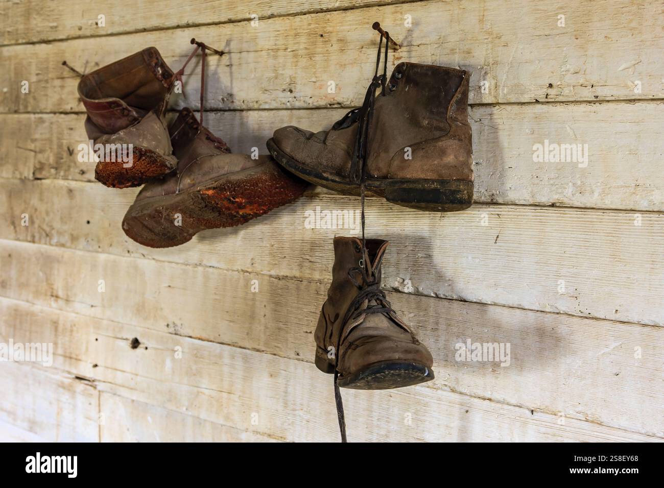 Four old worn out shoes are hanging on a wall. The shoes are dirty and ...
