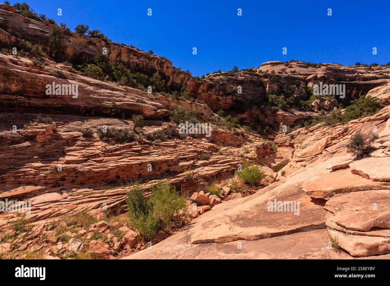 Natural Bridges National Monument is a U.S. National Monument located ...