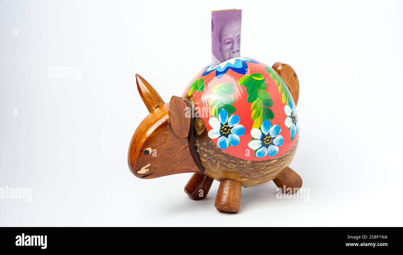 Saving money handmade piggy bank made from coconut shell in the shape ...