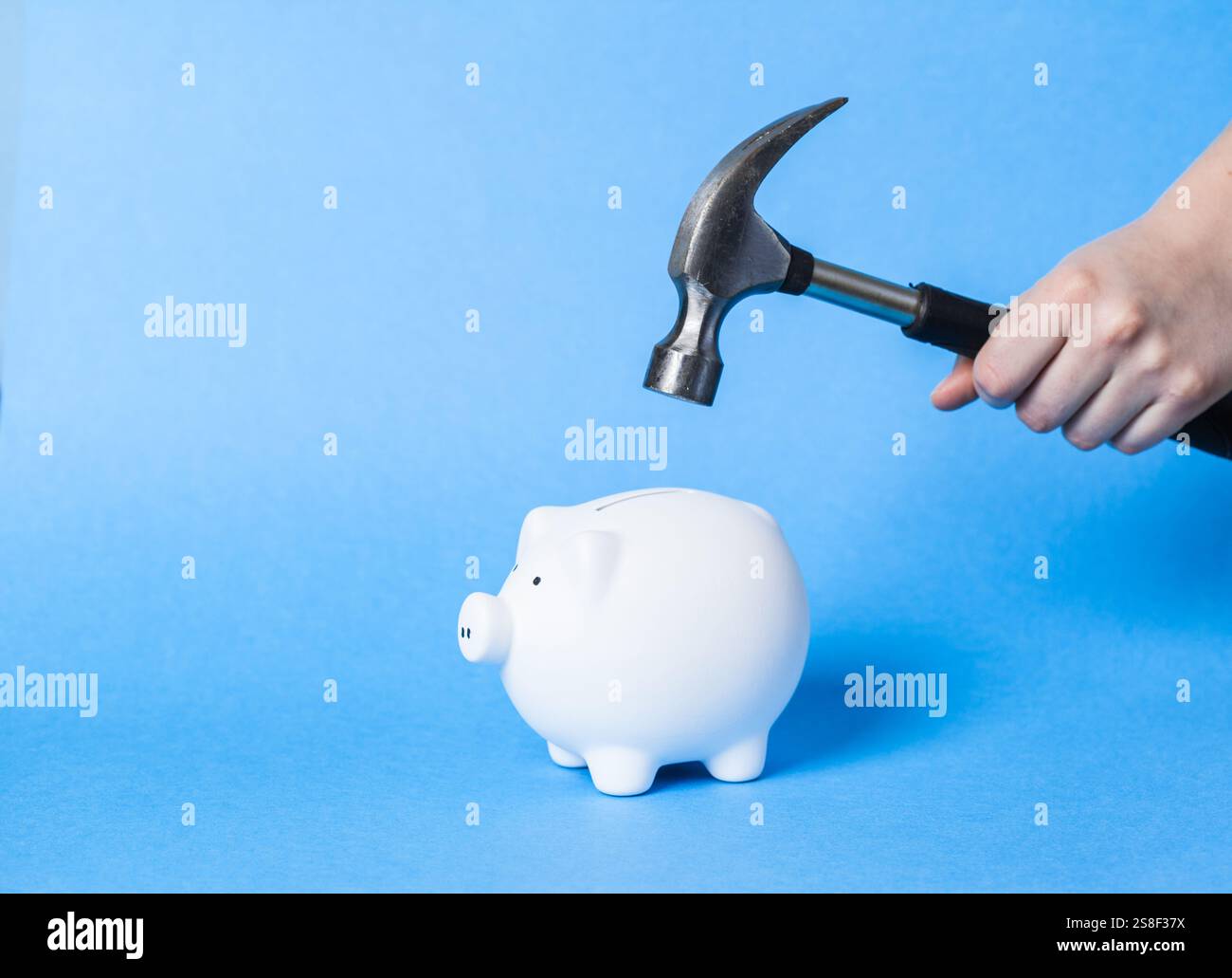 A hand holding a hammer which is raised above a white piggy bank Stock ...
