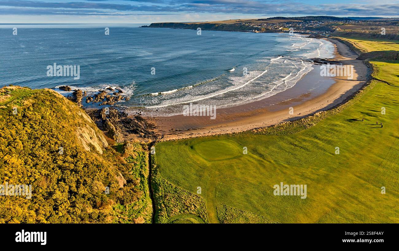Cullen Moray Scotland yellow gorse flowers on the hill the golf course ...