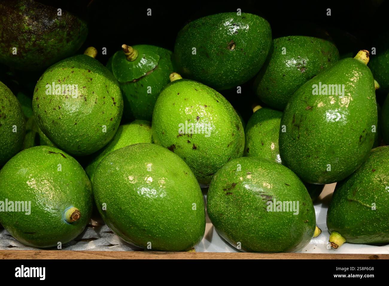 Avocados for export hi-res stock photography and images - Alamy
