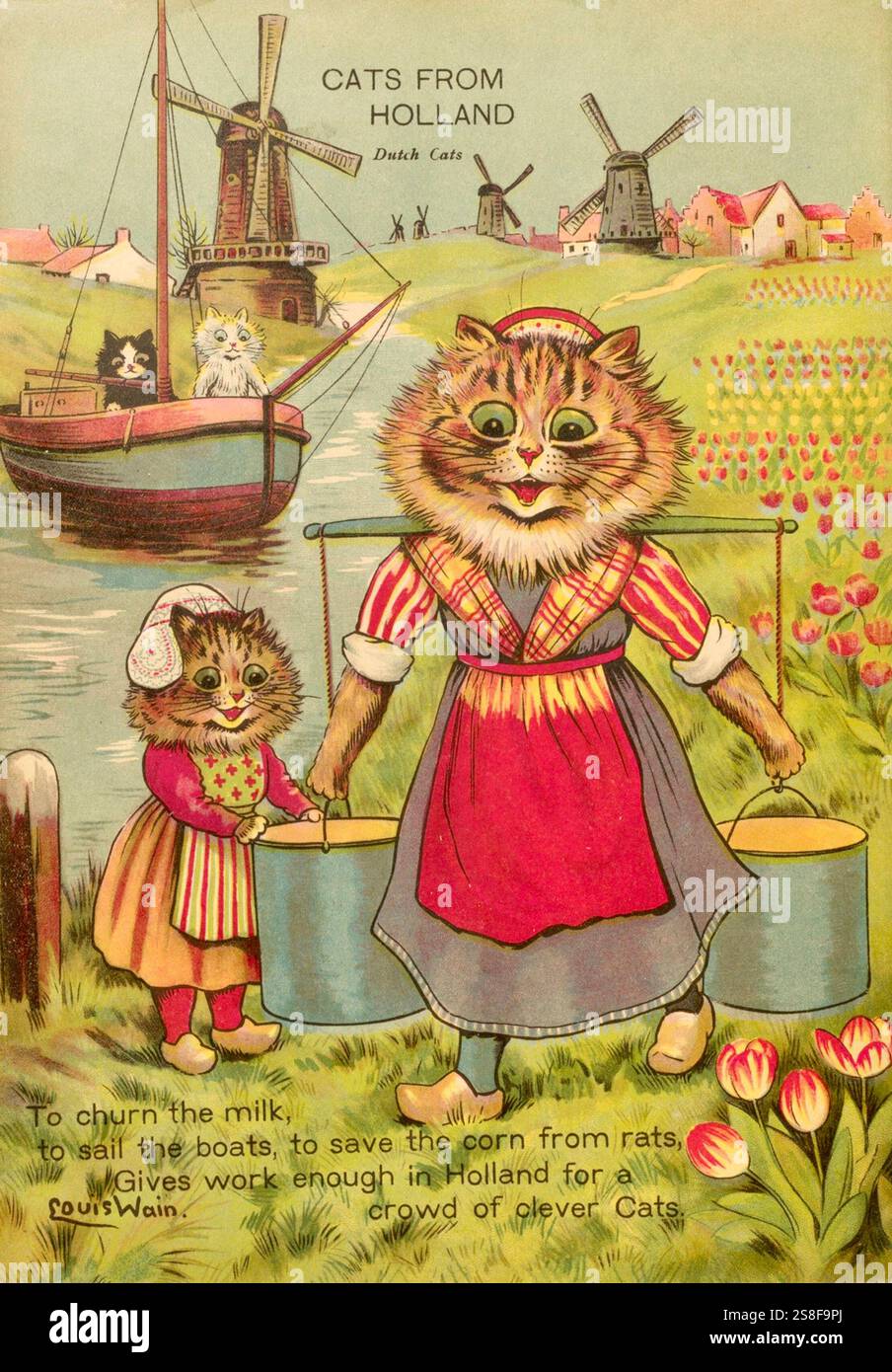 Cats from holland hi-res stock photography and images - Alamy