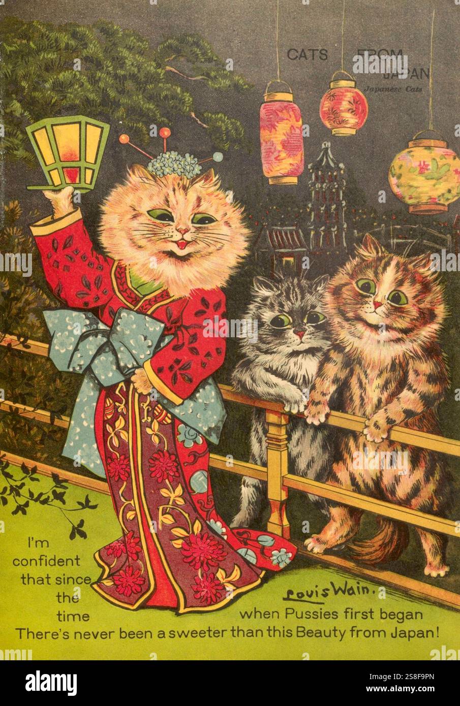 Lotus Wain - Cats from Japan - 1914 Stock Photo - Alamy