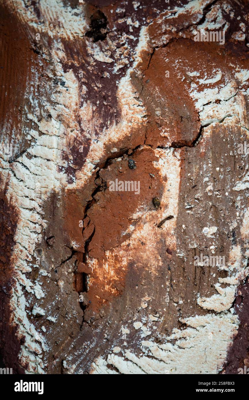 Patterns in brown tones hi-res stock photography and images - Alamy