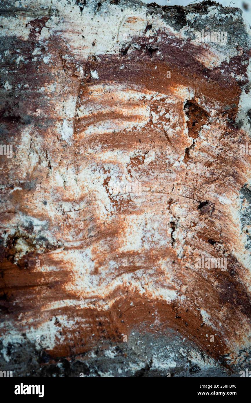 Intricate patterns emerge from a close-up of a textured surface ...