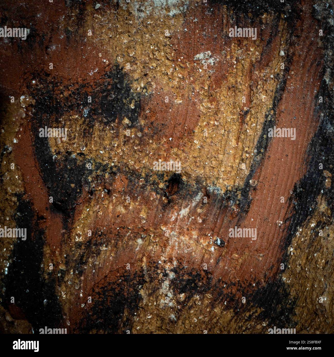 Exhibiting unique patterns hi-res stock photography and images - Alamy