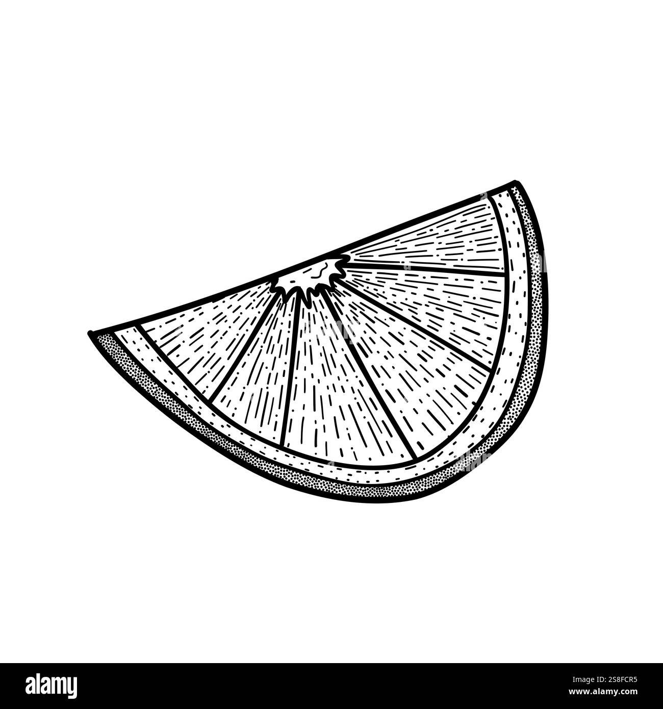 Detailed black ink drawing of a citrus orange wedge, ideal for food ...