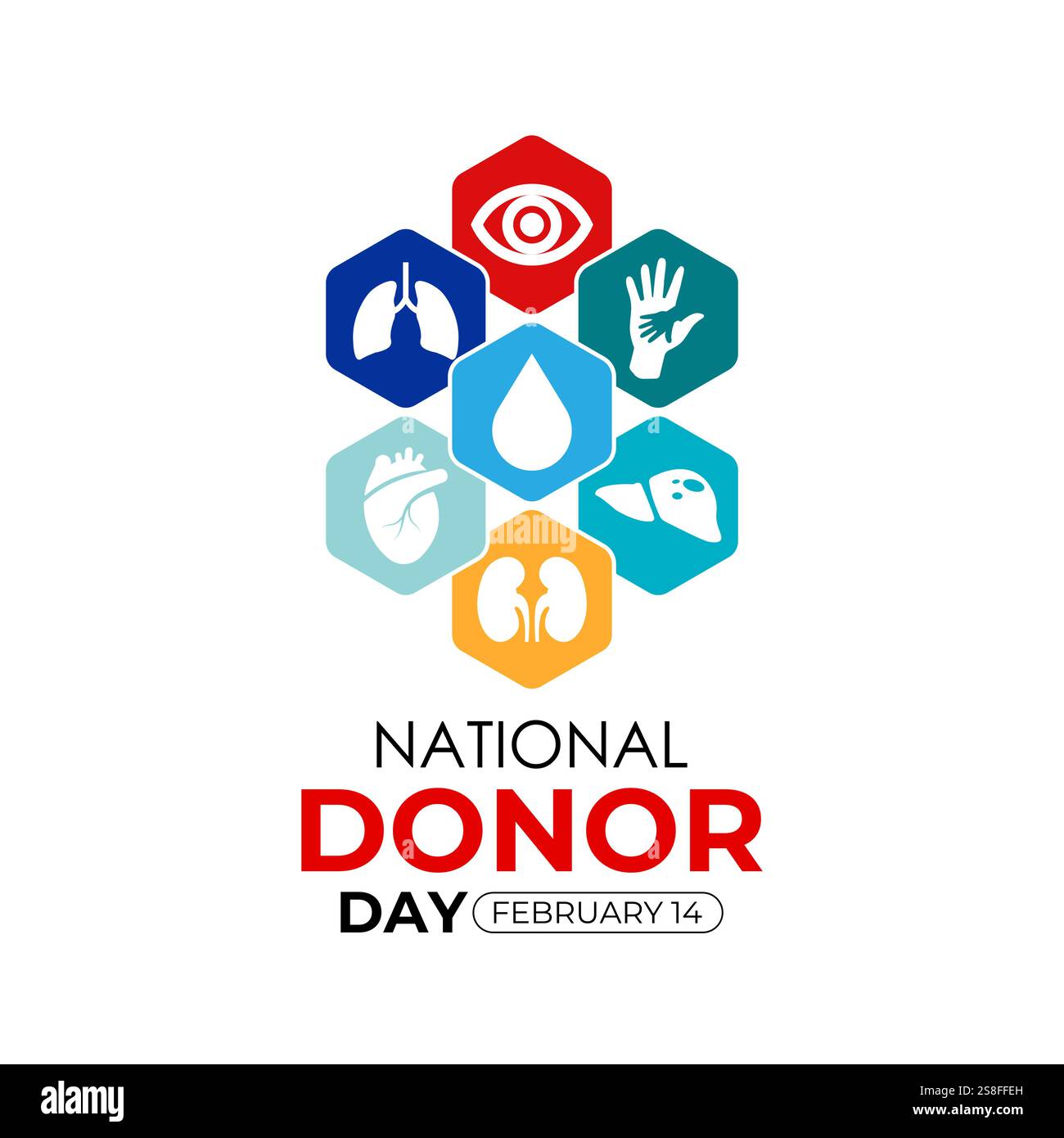 Vector graphic of on the theme of National Organ Donor day observed ...