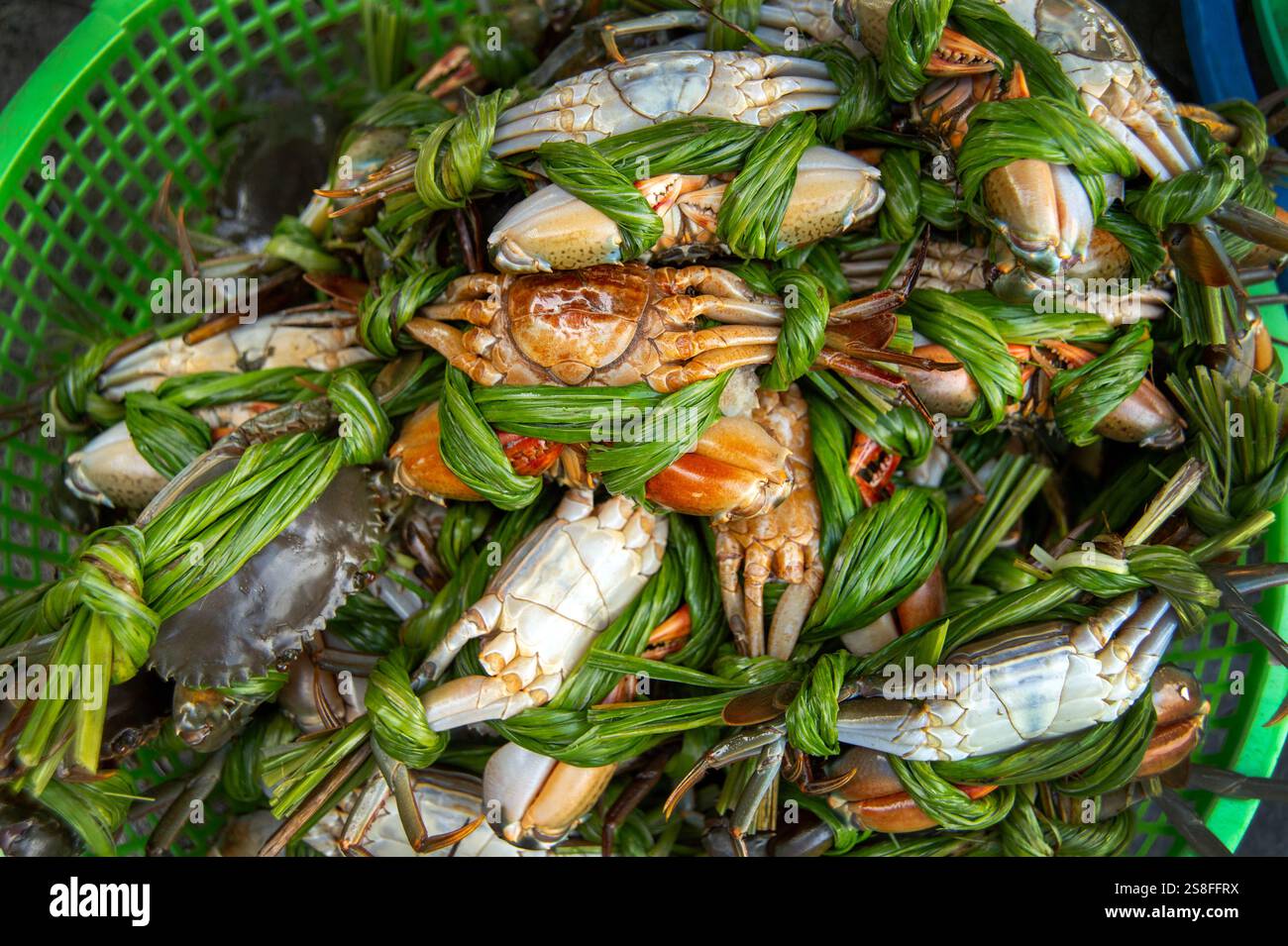 fresh live crabs washed and tied up ready for sale at hoi an fresh food ...