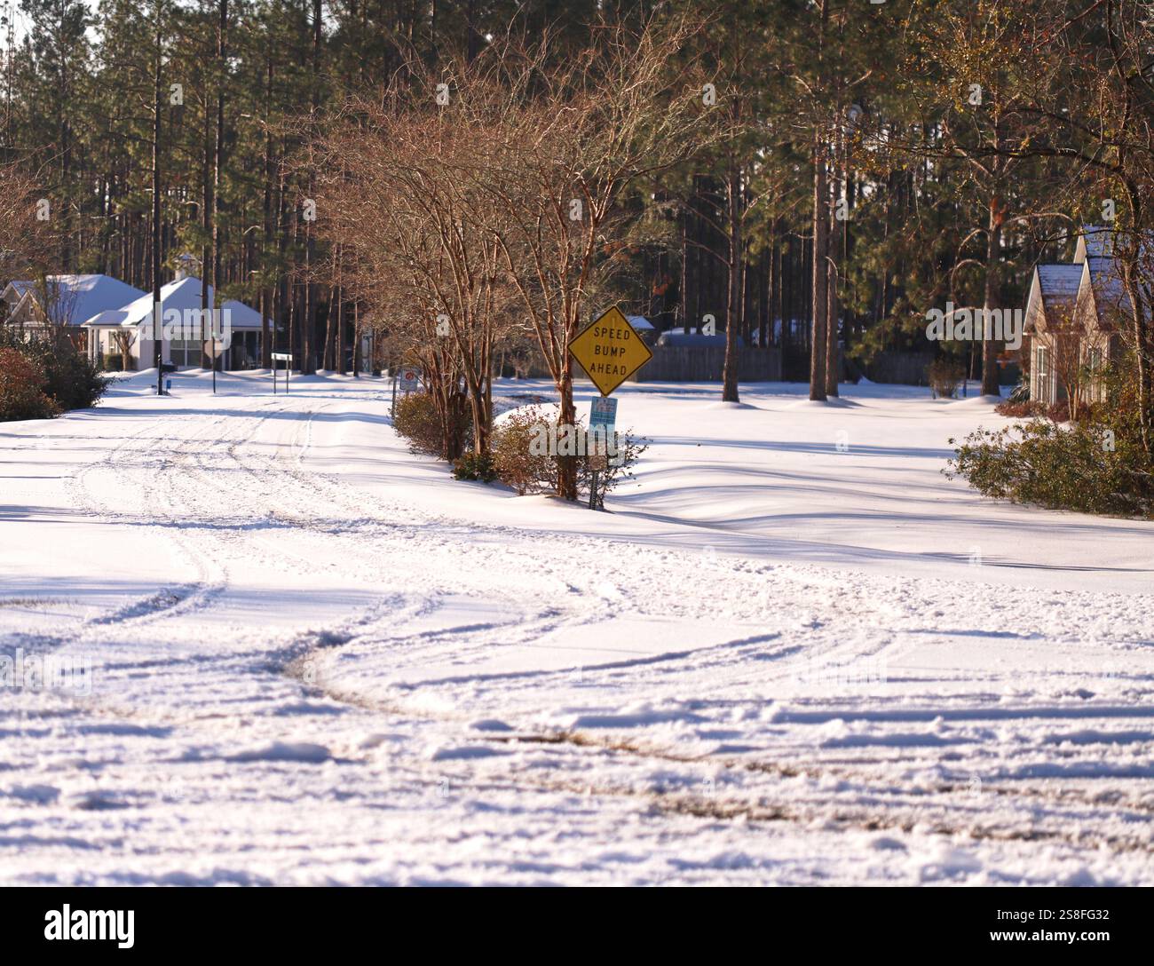 A winter wonderland in Southern USA, rare snowfall in January makes for ...