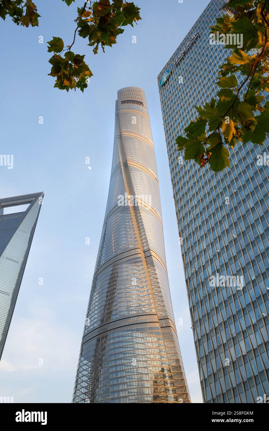 Shanghai, China. January 8, 2025. rShanghai, China. January 8, 2025 ...