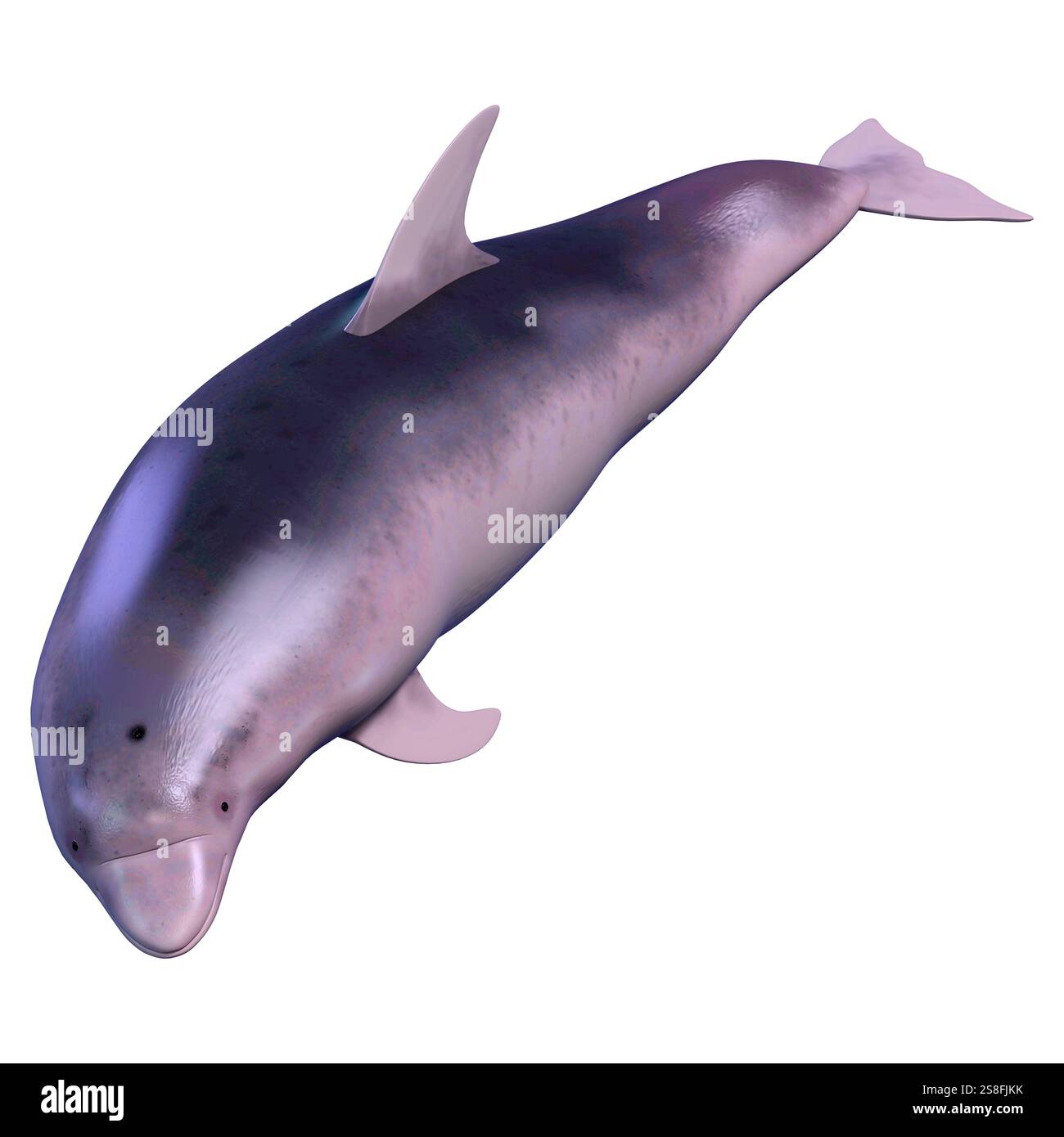 3D rendering of a dolphin isolated on white background Stock Photo - Alamy
