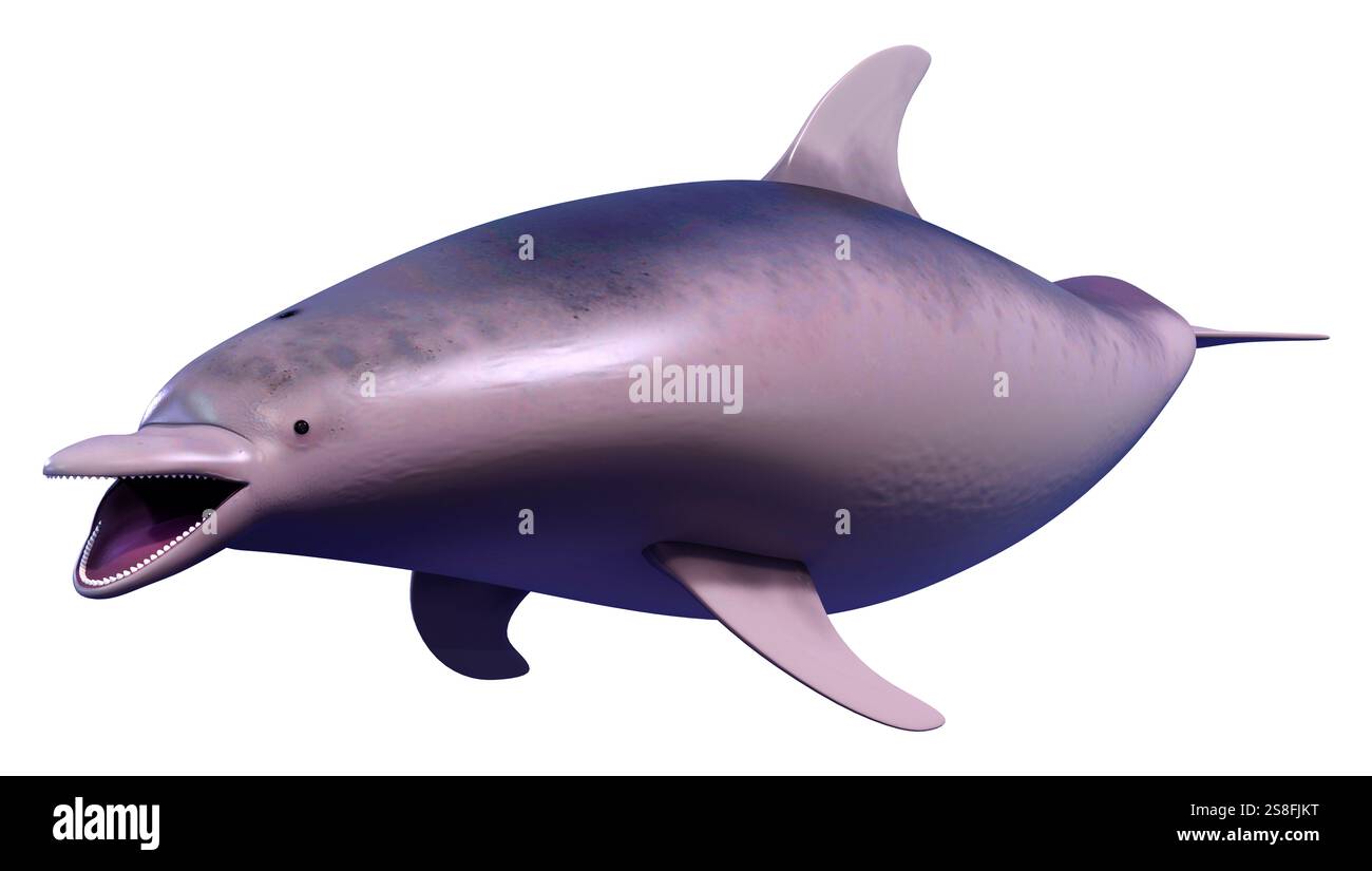 3D rendering of a dolphin isolated on white background Stock Photo - Alamy