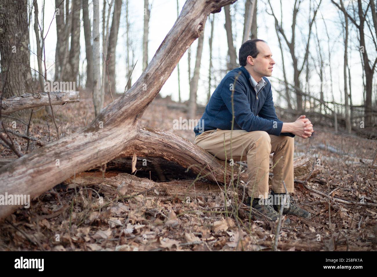 Man sitting on tree in woods thinking Stock Photo - Alamy