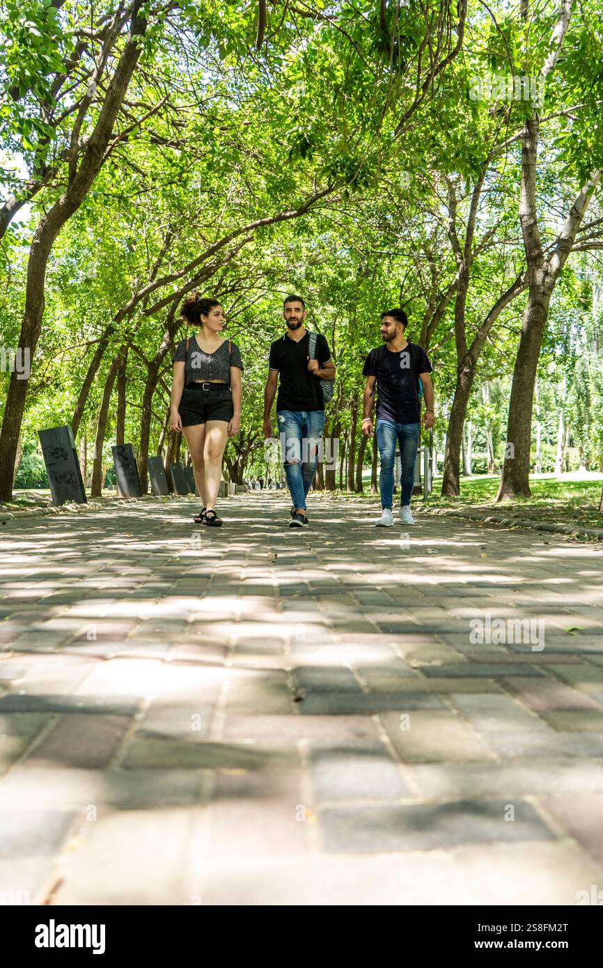 Three young friends chat and laugh while walking down a sunlit path ...
