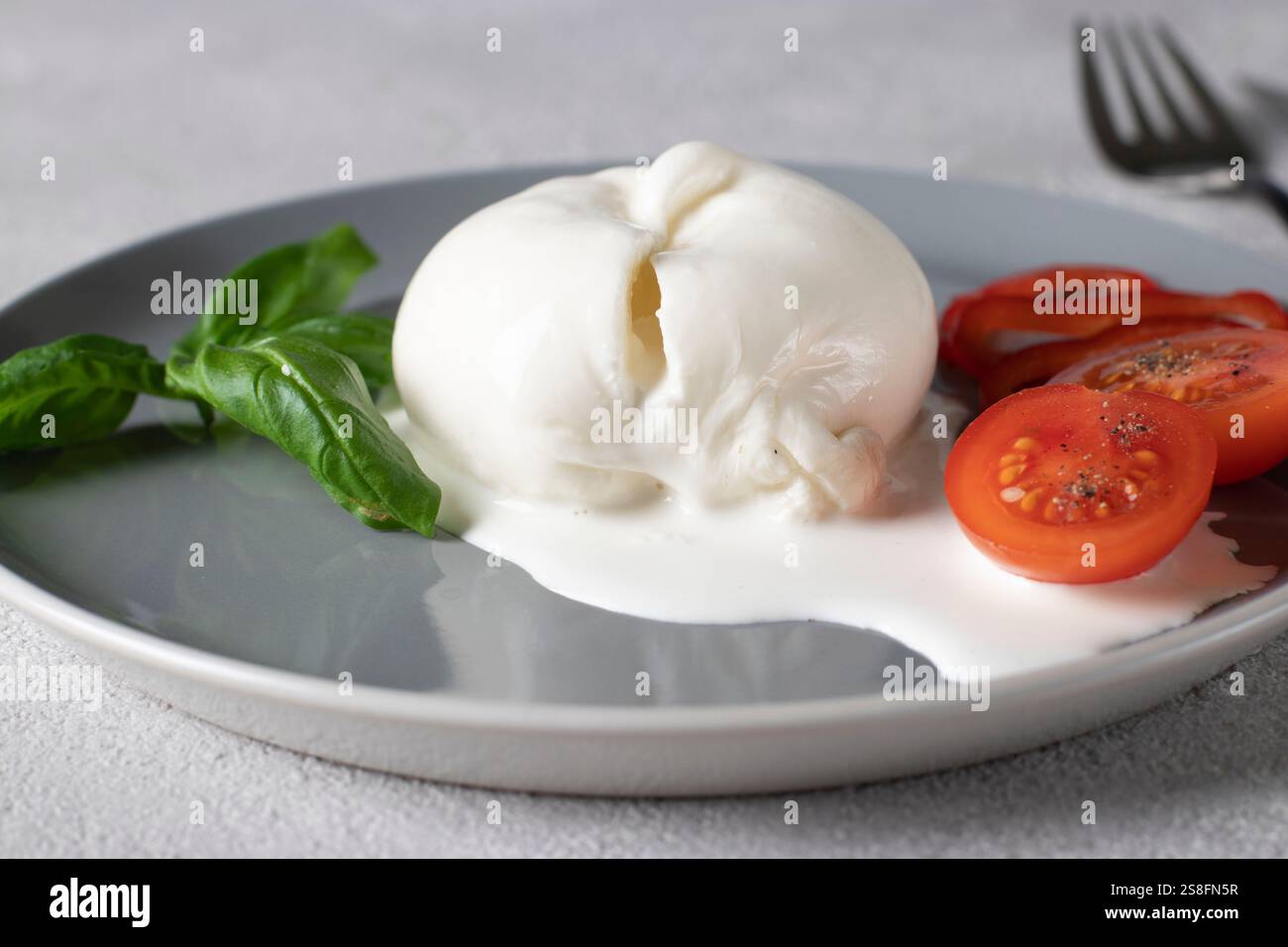 Italian Burrata Cheese on gray plate with basil and cherry tomatoes ...