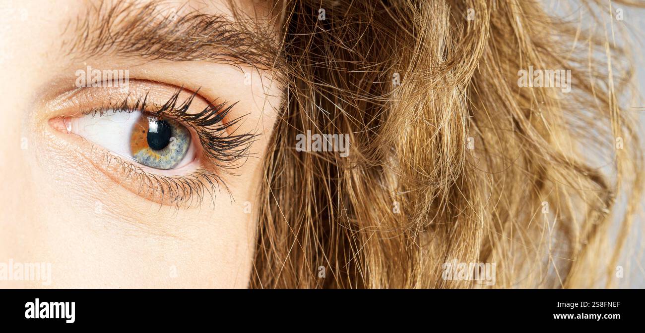 Human eye anatomy light hi-res stock photography and images - Alamy