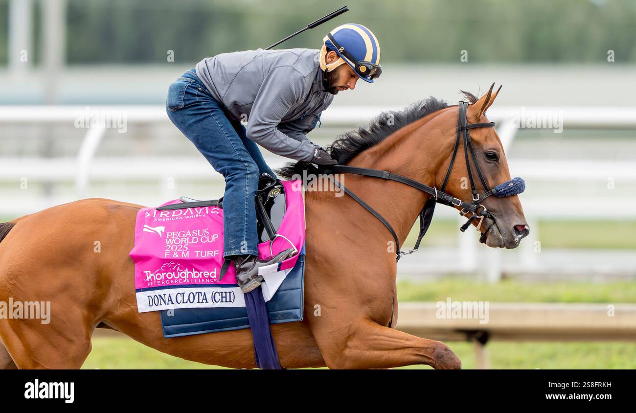Hallandale Beach, USA. 22nd Jan, 2025. January 22, 2025, Hallandale ...