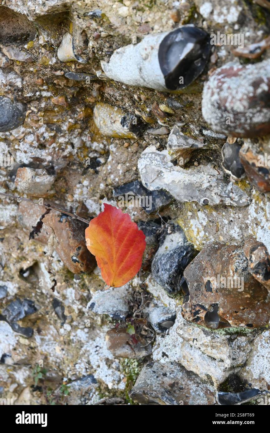 Yellow flint stone on hi-res stock photography and images - Alamy