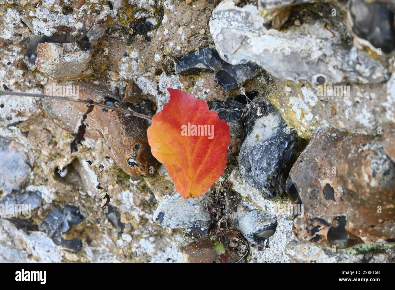 Yellow flint stone on hi-res stock photography and images - Alamy