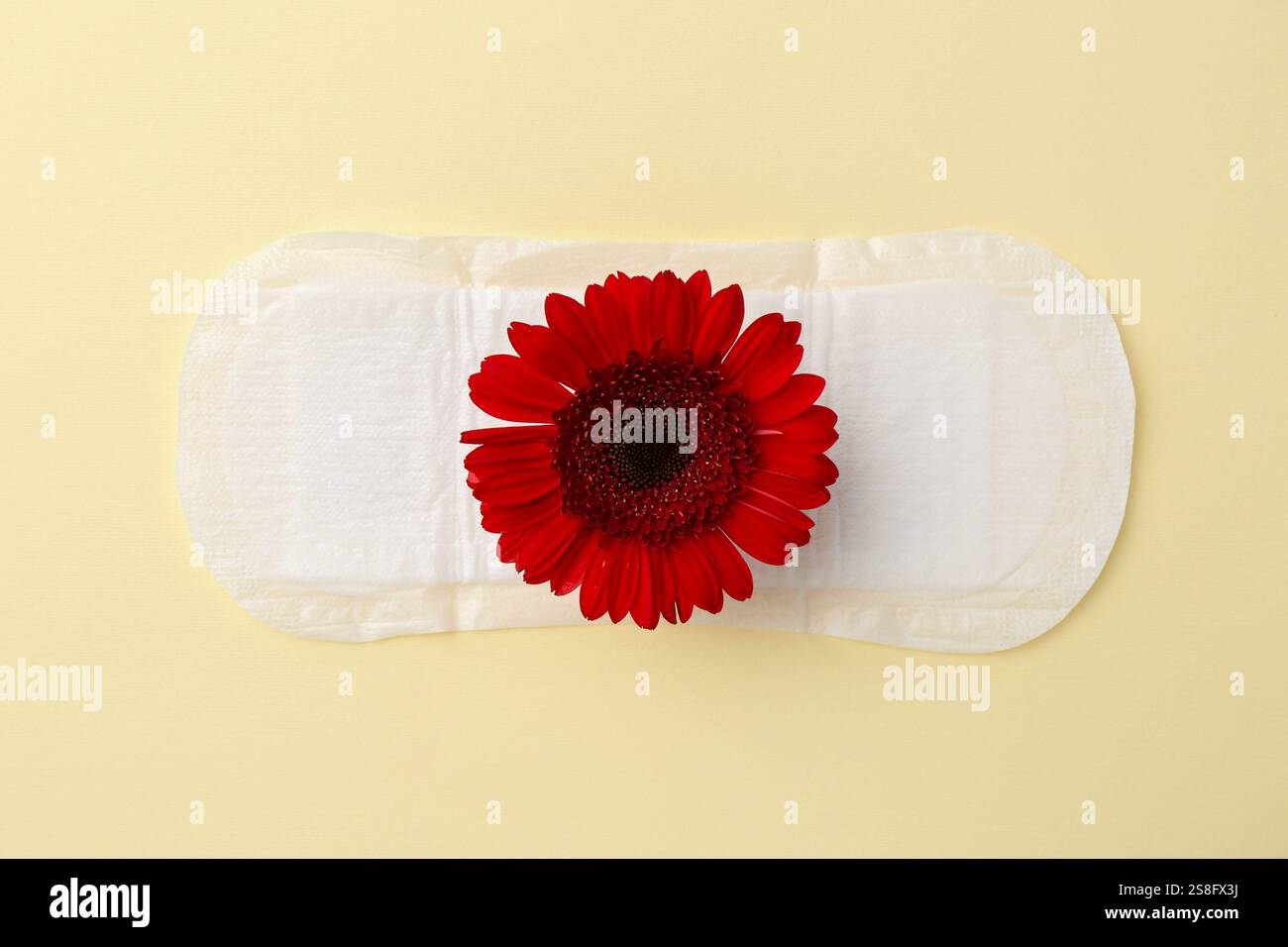 Menstrual pad with red flower on beige background, top view Stock Photo ...