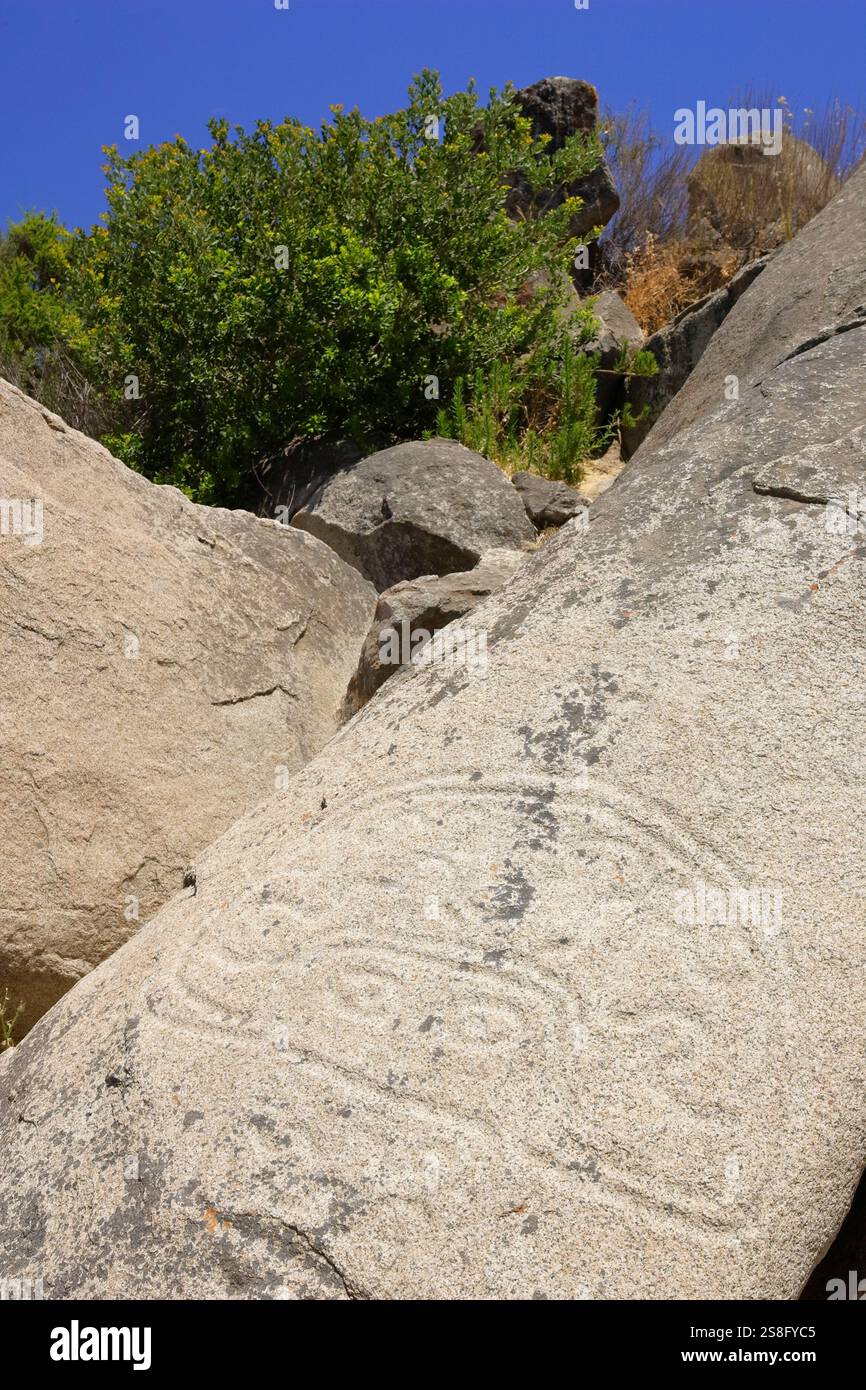 Petroglyph of a head with a mask (2nd-7th century) in the Encanto River ...