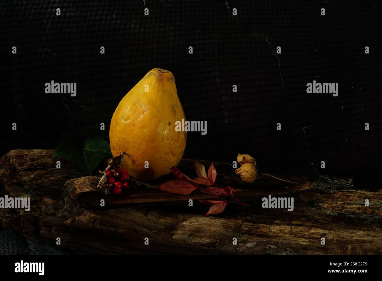 Autumn Still Life in chiaroscuro Stock Photo - Alamy