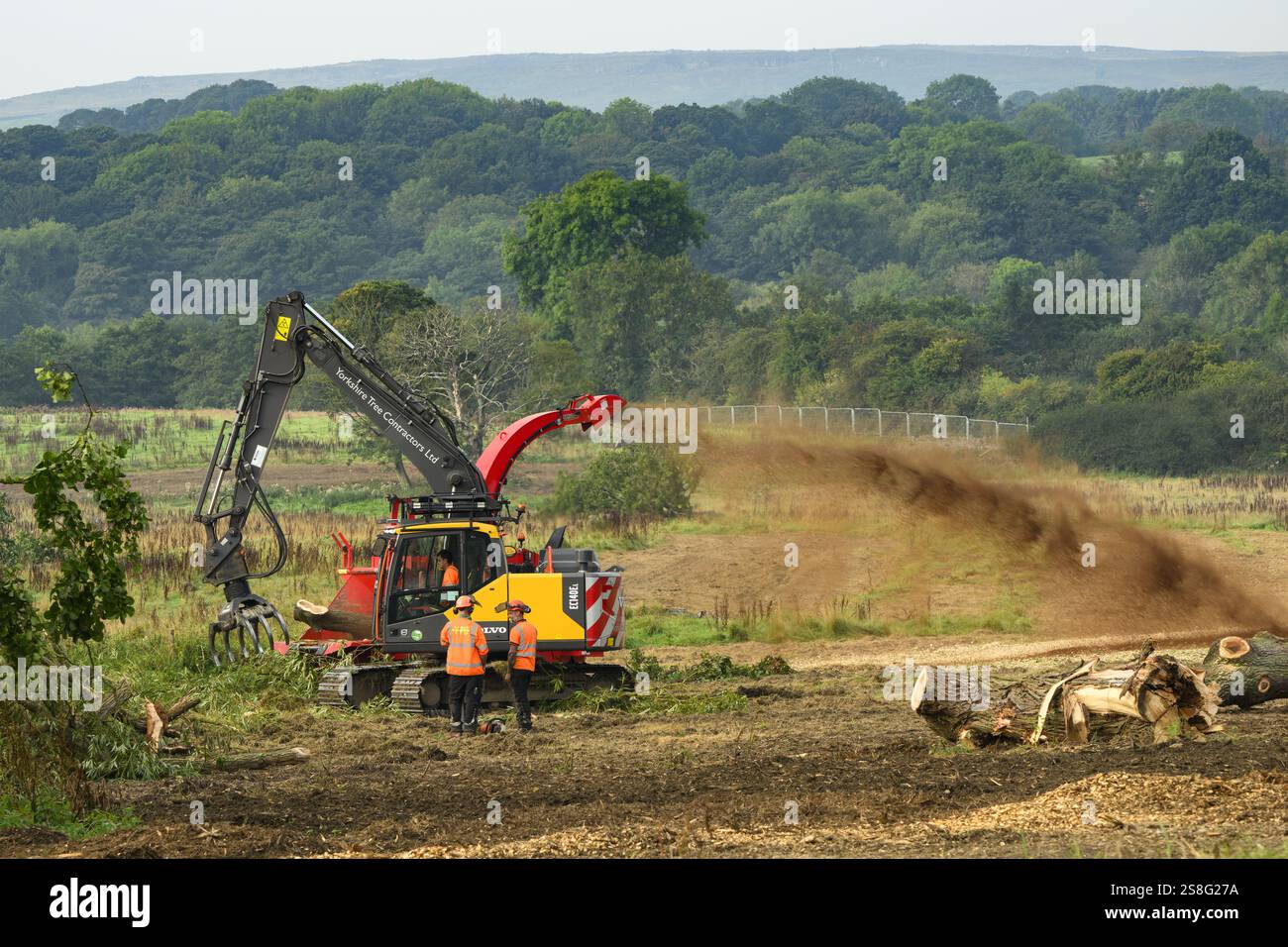 Men working to remove trees (construction site, green field land loss ...