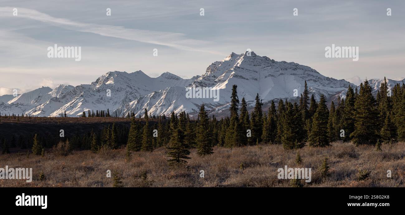 Denali National Park and Preserve, Alaska Stock Photo - Alamy