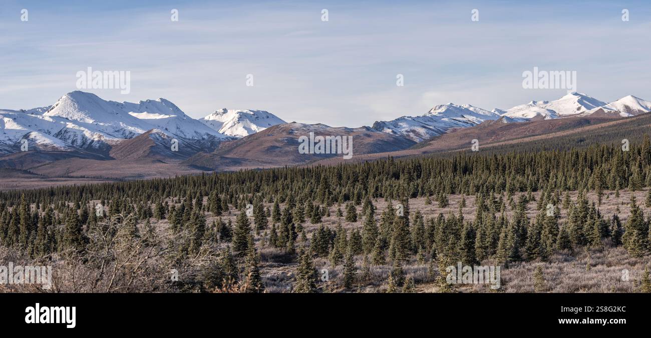 Denali National Park and Preserve, Alaska Stock Photo - Alamy
