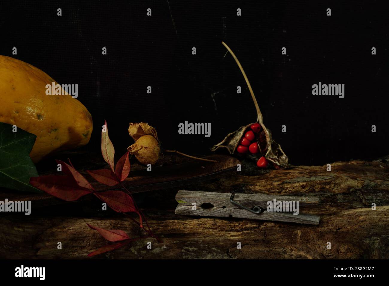 Autumn Still Life in chiaroscuro Stock Photo - Alamy