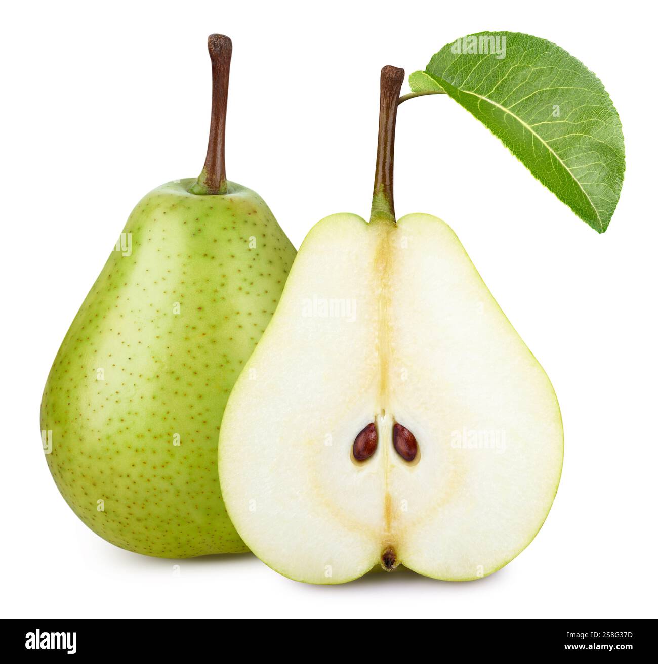 Pear isolated on white background. Pear and half pear on white ...
