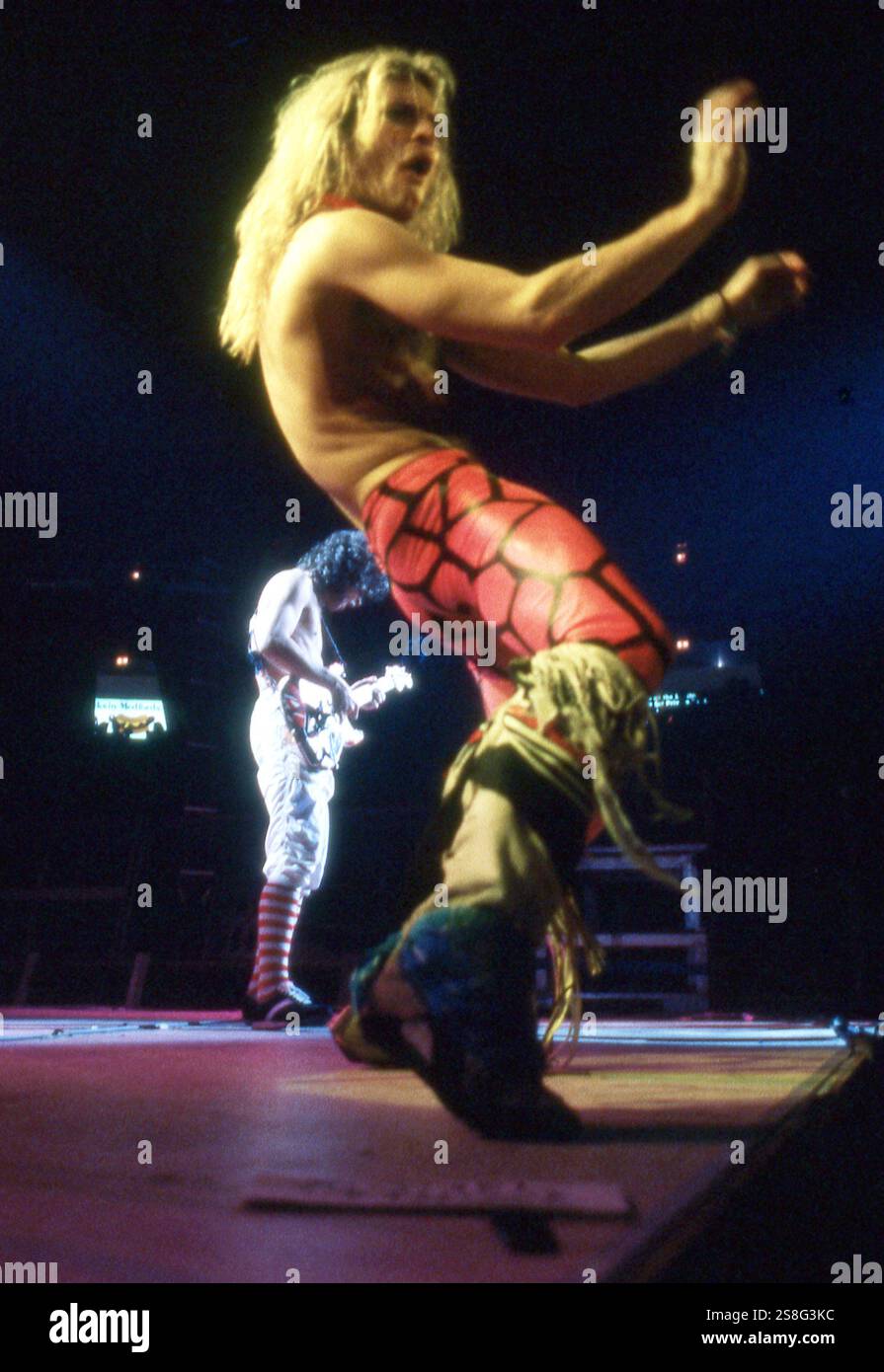 David Lee Roth of Van Halen at the Spectrum in 1981 Credit: mpiRR ...