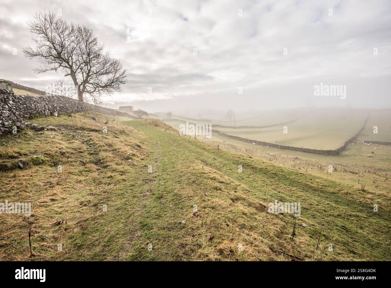 Hillm farming in the dales hi-res stock photography and images - Alamy