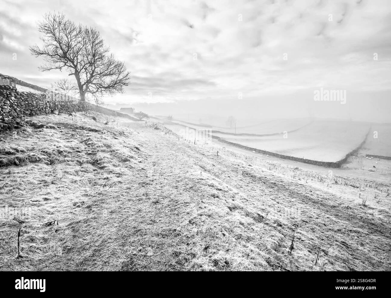 A misty January morning beyond Pike Lane in Langcliffe village in North ...