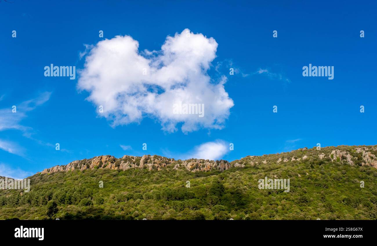 Monteleone Rocca Doria, VulaknBerg und Felsen mit Wald, Steinbruch ...