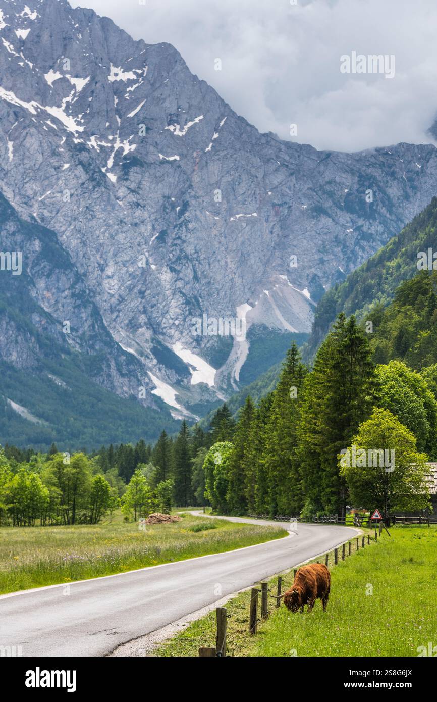 Logar Valley or Logarska Dolina in Slovenia Alpine landscape Stock ...
