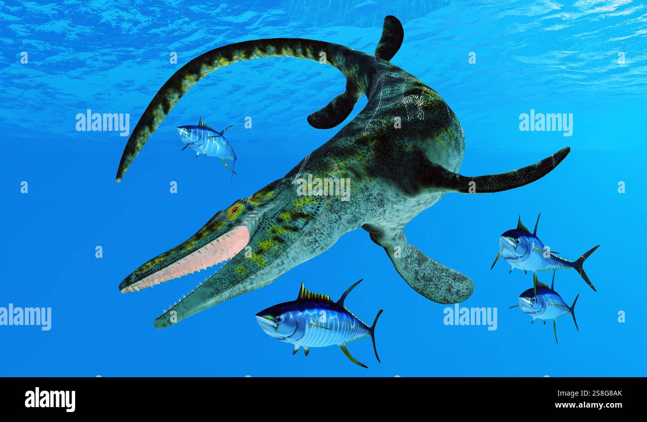 Yellowfin Tuna scatter as a Tylosaurus swims after them during the ...