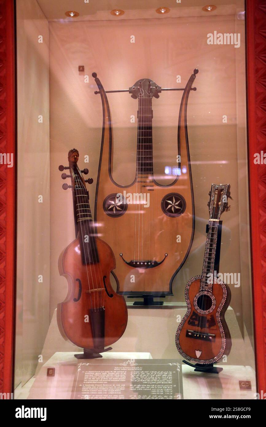 Exhibit of Musical Instruments French Lyre Guitar and pardessus de ...