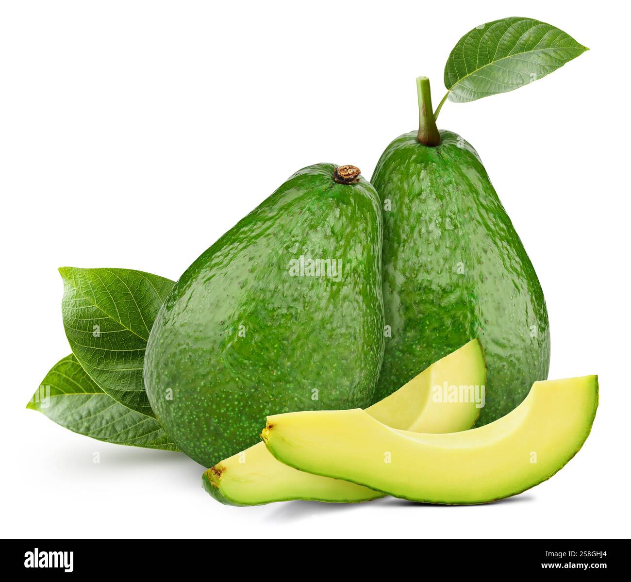 Avocado fruit with avocado leaf isolated on white background. Avocado ...