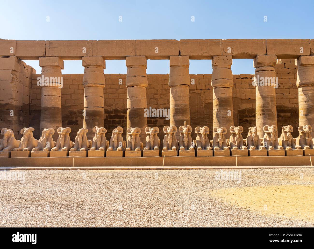 Row of ancient ram-headed sphinx statues stand majestically their ...