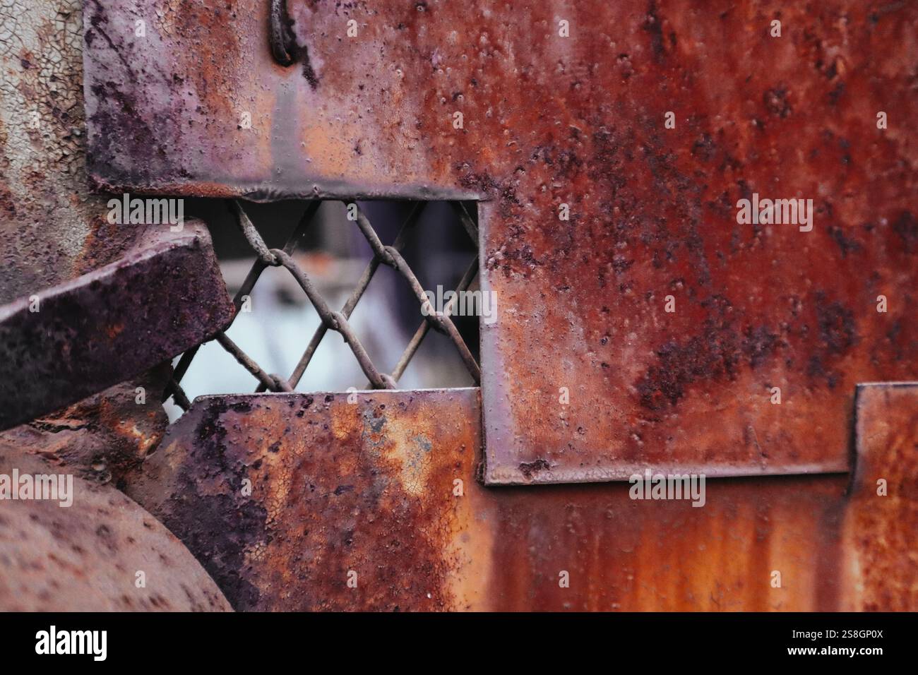 Old aged metal gate closed front view. Rusty doors with paint peeled ...