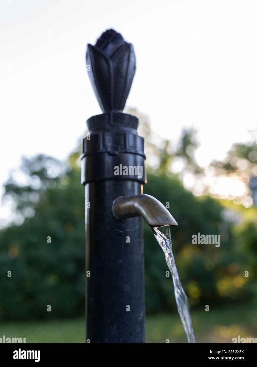 Columbian Fountain Spring Water Historic Congress Park Saratoga Springs ...