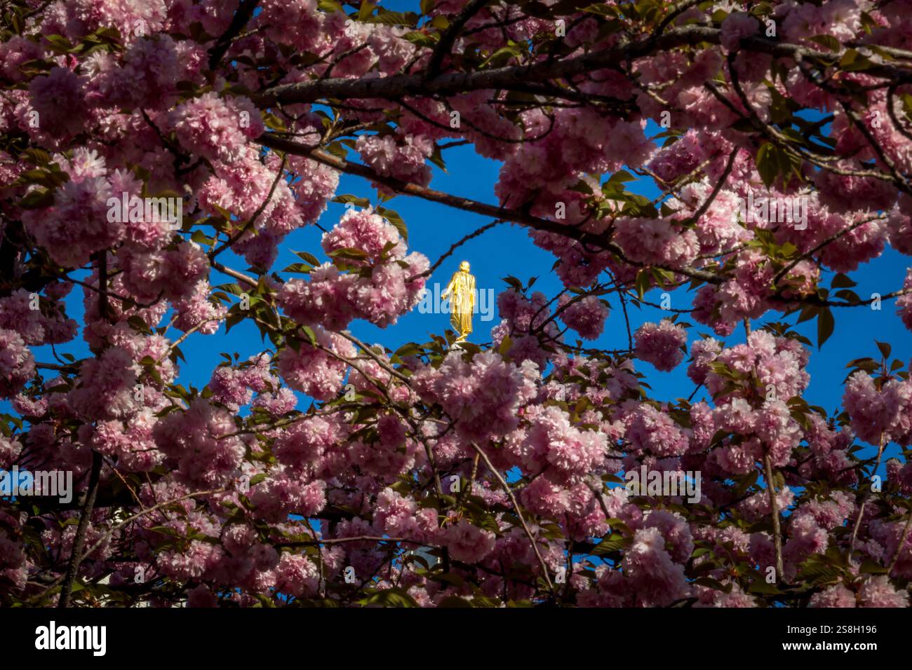 The backside of a Angel Moroni Statue Stock Photo - Alamy