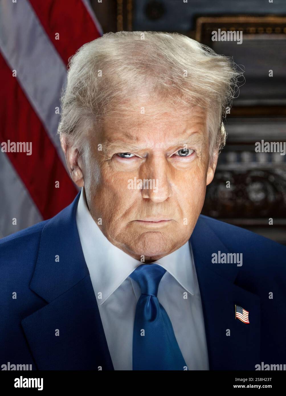 President-elect Donald J. Trump's official presidential portrait ...