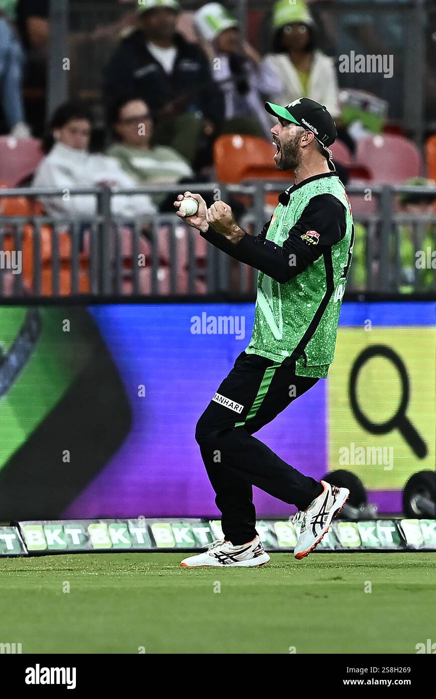 Glenn Maxwell of Melbourne Stars celebrates after taking the catch to ...