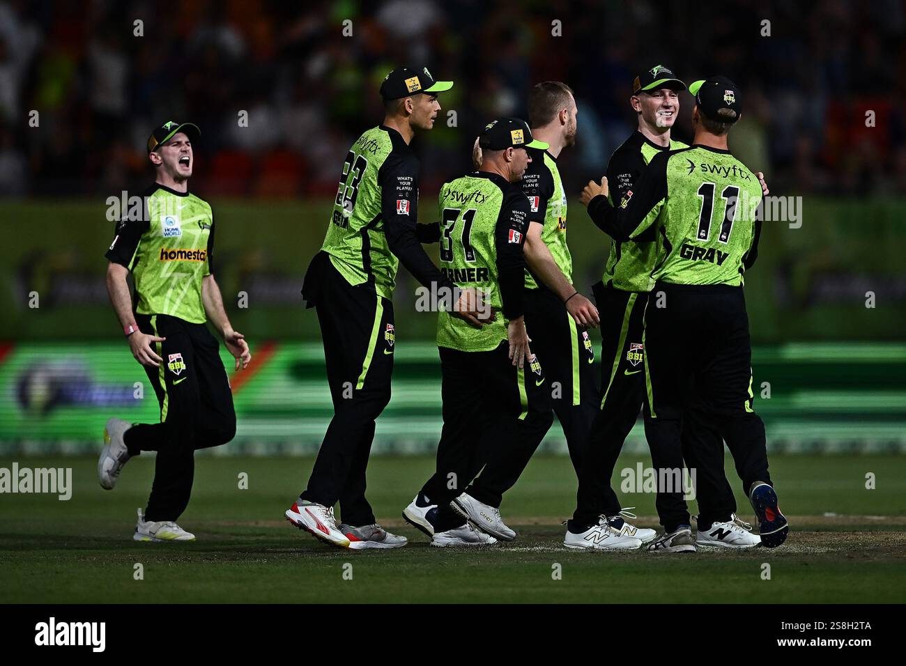David Warner of Sydney Thunder celebrates with his teammates after he ...