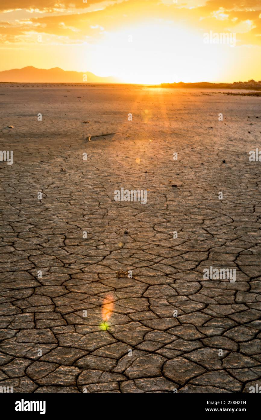 Cracked desert lakebed hi-res stock photography and images - Alamy